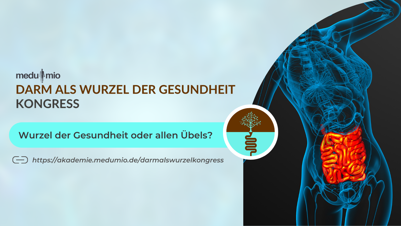 Der Darm als Wurzel der Gesundheit Kongress | online & kostenlos