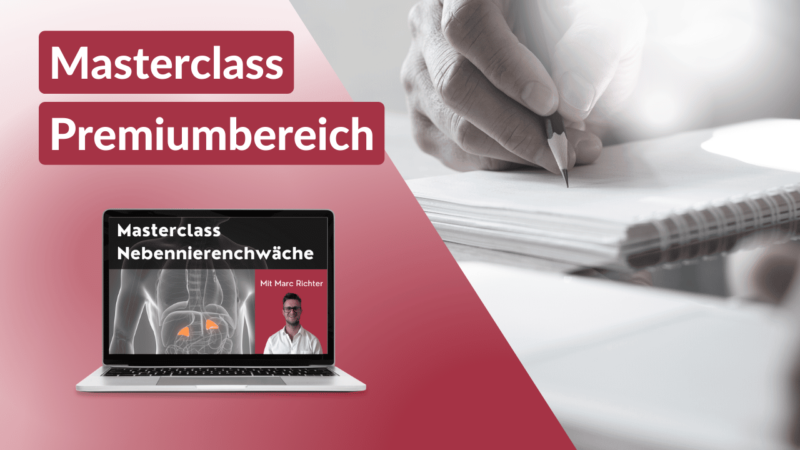 Premiumbereich der Masterclass Nebennierenschwäche